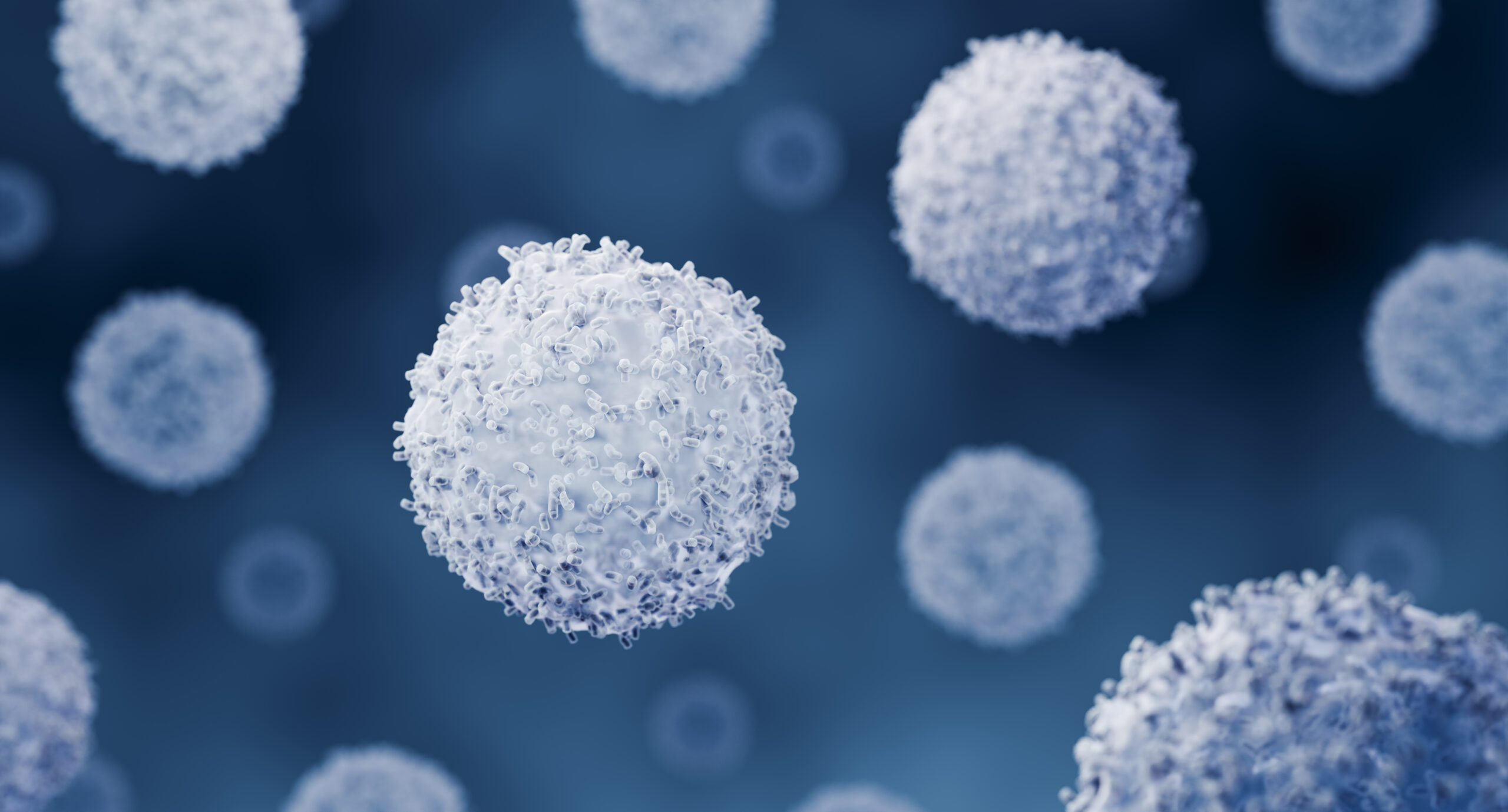 Novel Antibody Combo Demonstrates Safety and Efficacy in NK/T-Cell ...