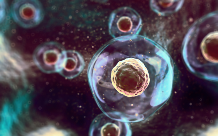 Optimizing Stem Cell Mobilization Strategies for Patients With Multiple ...