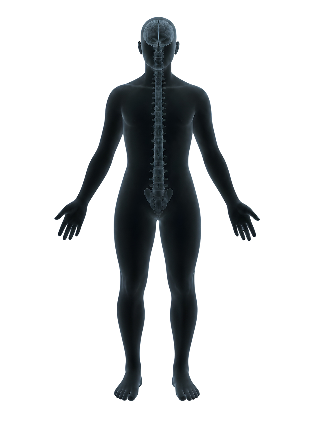 Migraine Journey Navigator | Docwire News
