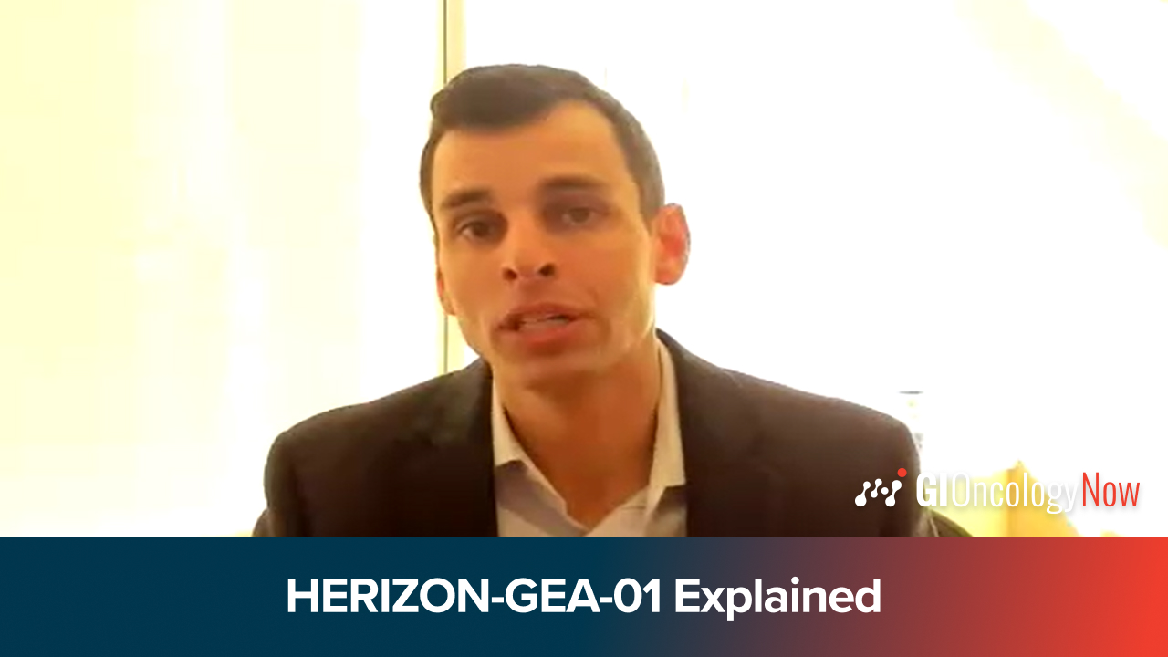 A New Era for HER2-Positive Gastric Cancer: HERIZON-GEA-01 Explained ...