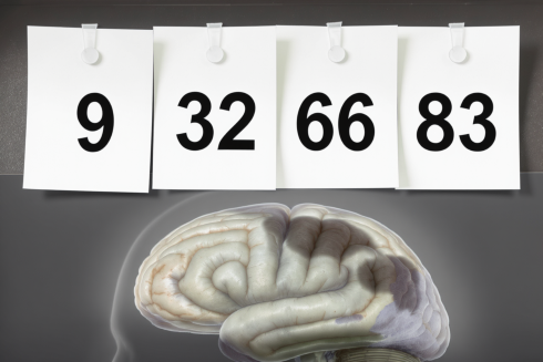 Brain Development Shows Four Critical Turning Points Across Lifespan ...
